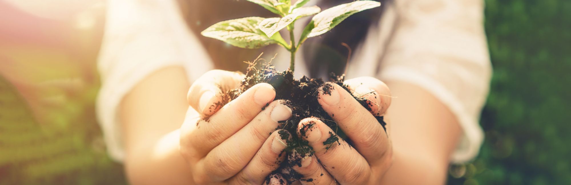 Quality standard & environmental protection | TDK-Micronas GmbH